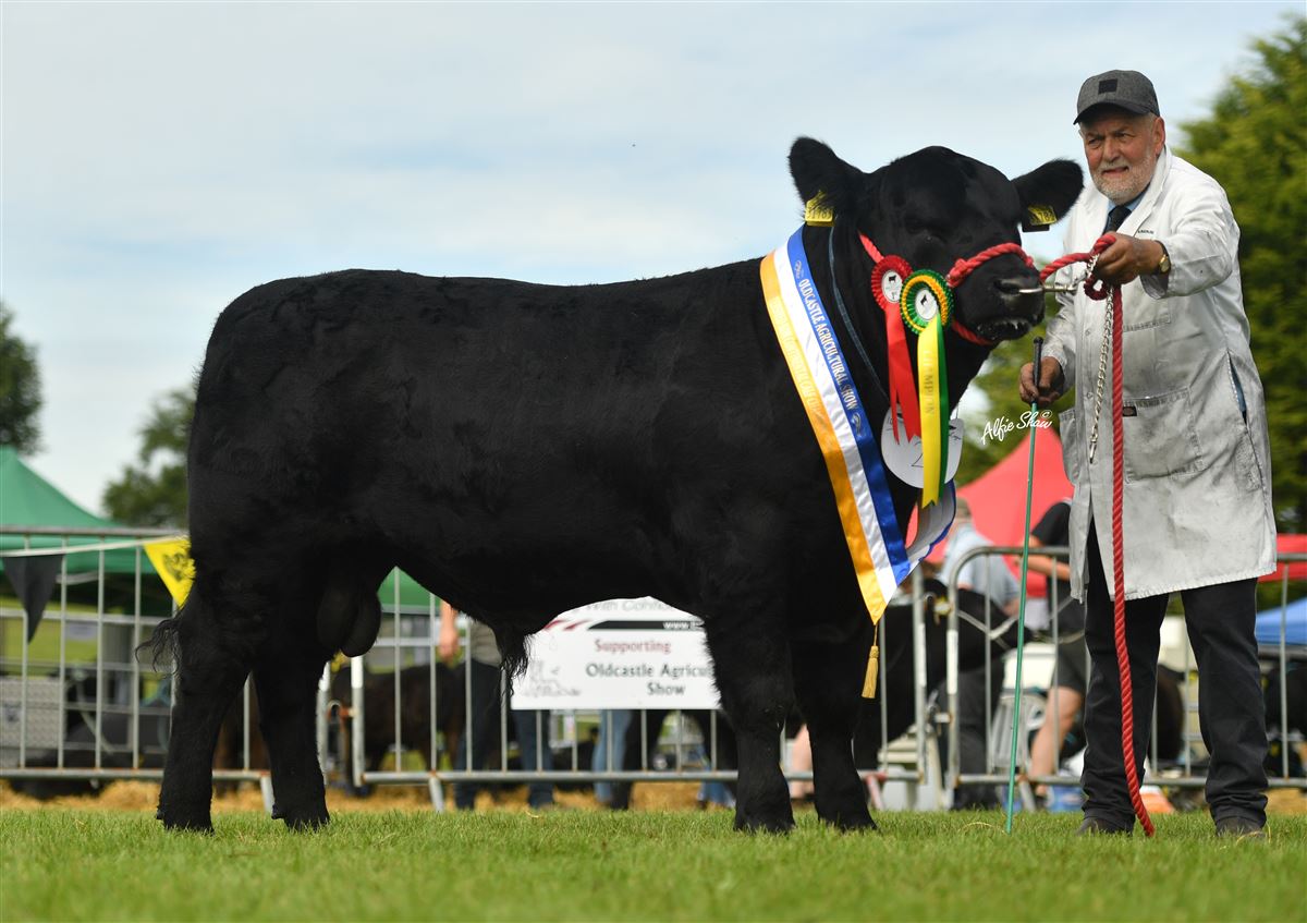 Irish Aberdeen Angus Extravaganza breaks all records - Irish Aberdeen ...
