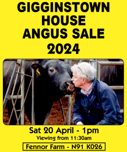 Gigginstown sale 2024 catalogue - Irish Aberdeen-Angus Association
