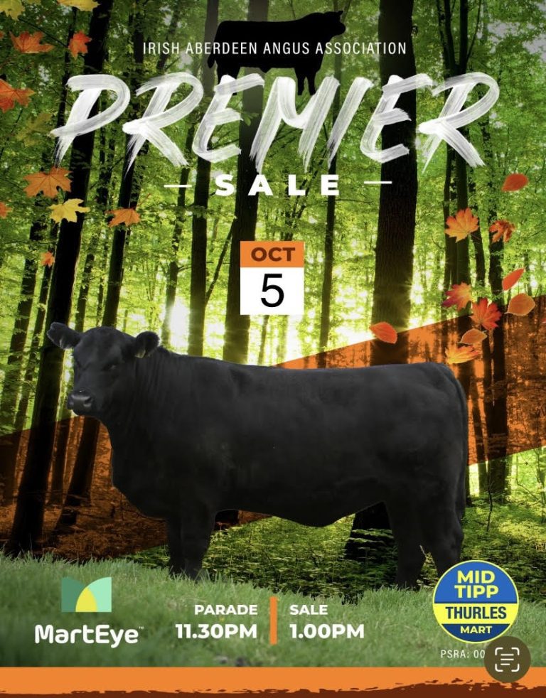 Angus Sales Ireland - Irish Aberdeen-Angus Association
