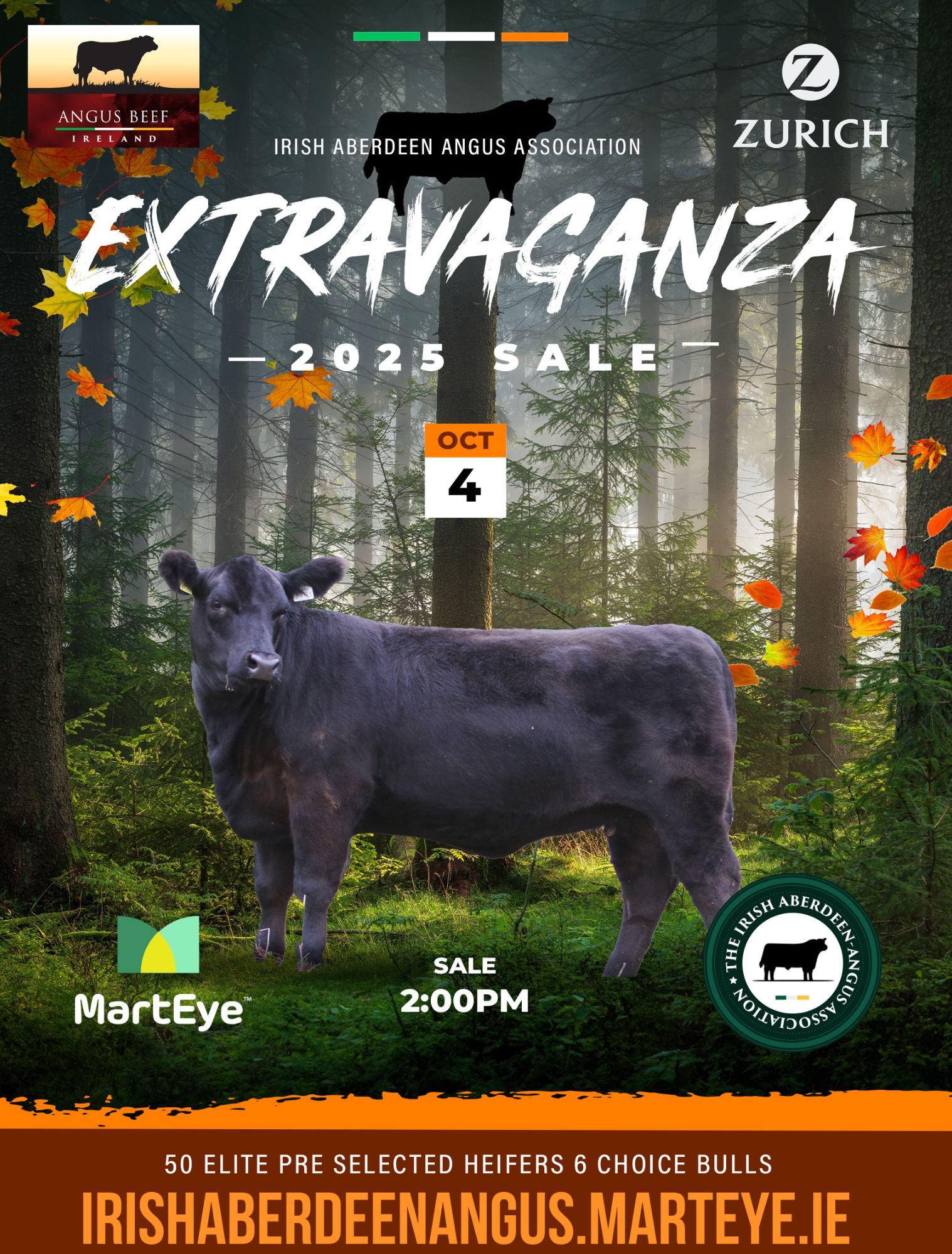 2025 Extravaganza sale catalogue - Irish Aberdeen-Angus Association